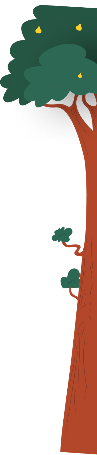 Skidos Instant Game | Play